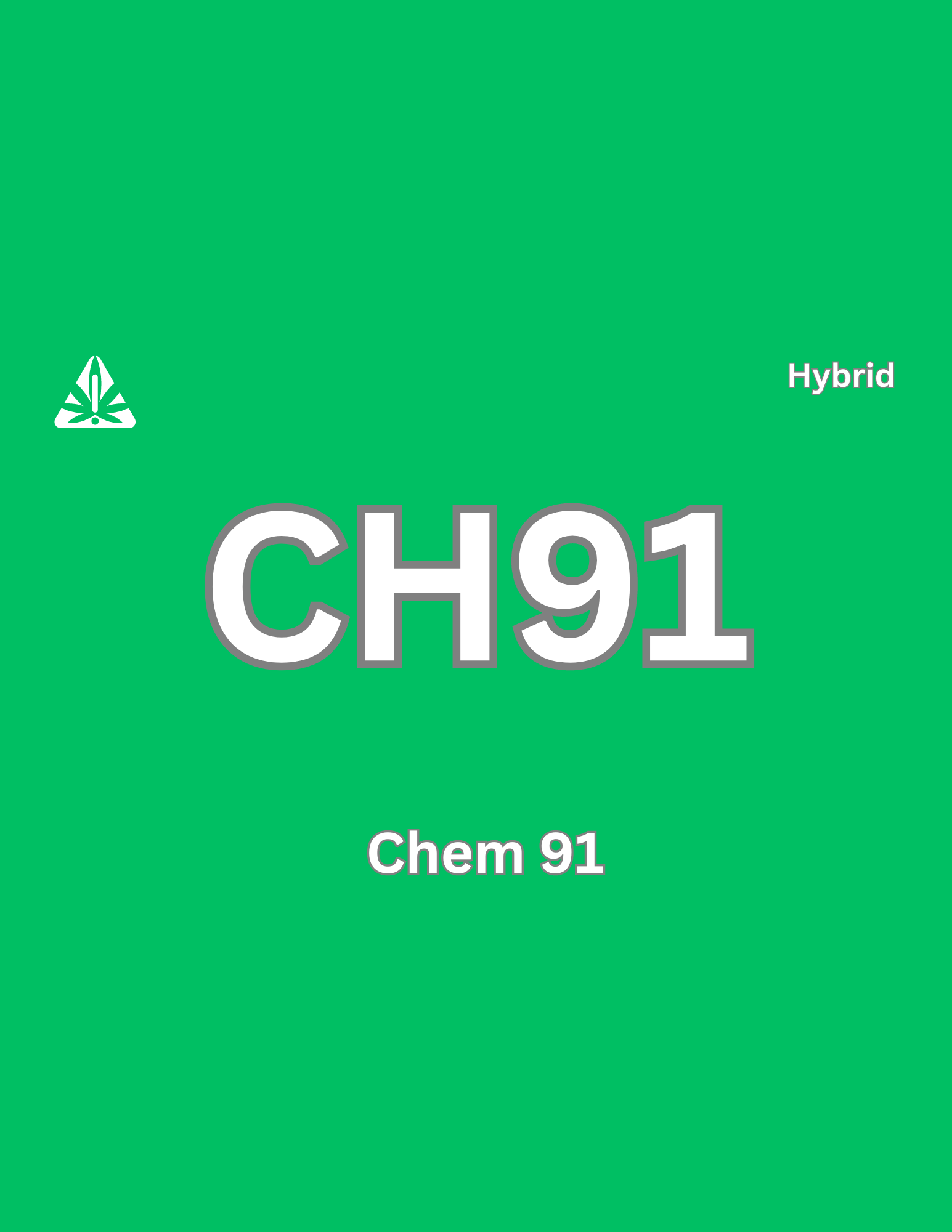 Chem 91